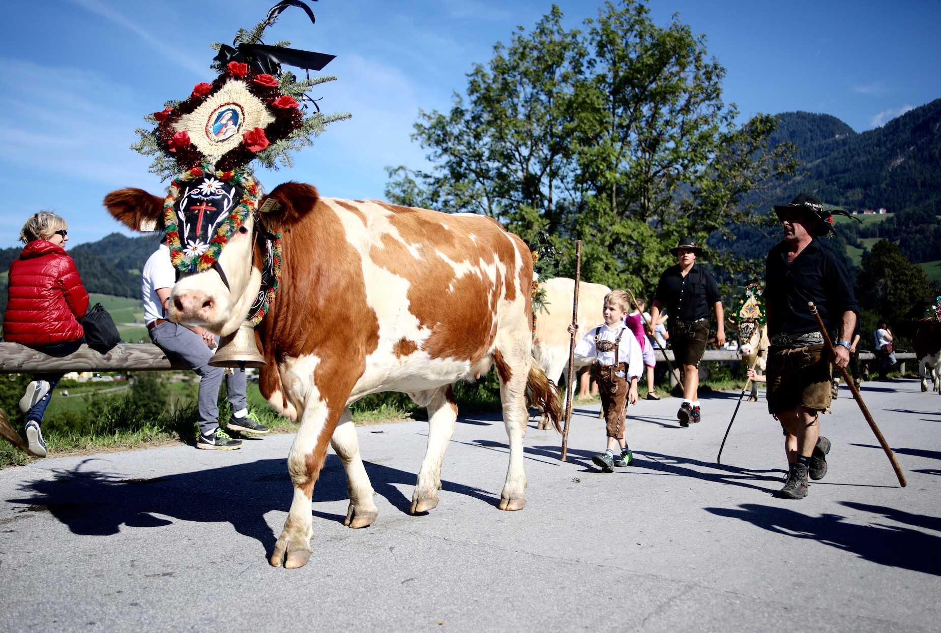 Almabtrieb in Tirol en tips restaurants | Puur! uit eten - reizen
