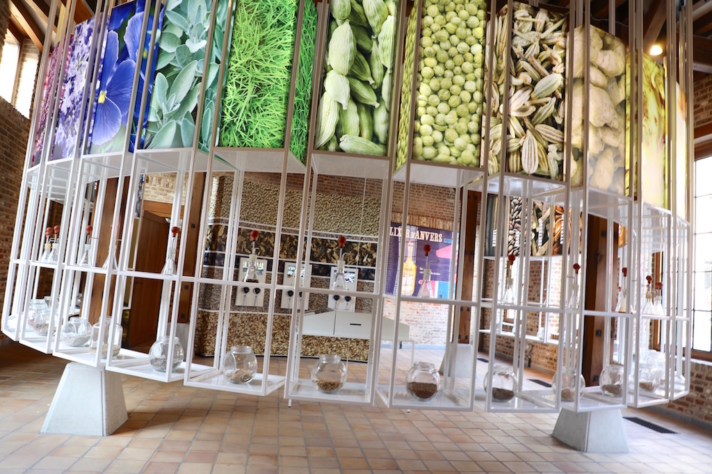 Wat te doen in Hasselt? Hotspots, winkels, musea, hoteltip | Puur! uit eten